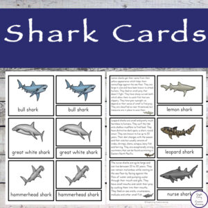 Shark Week Activities and Crafts for Kids