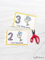 Flower Counting Printable Book - CrystalandComp.com