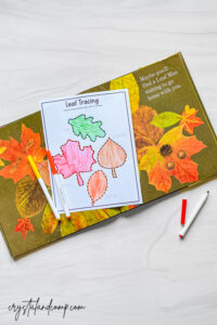 Leaf Man Book Companion Printables - CrystalandComp.com