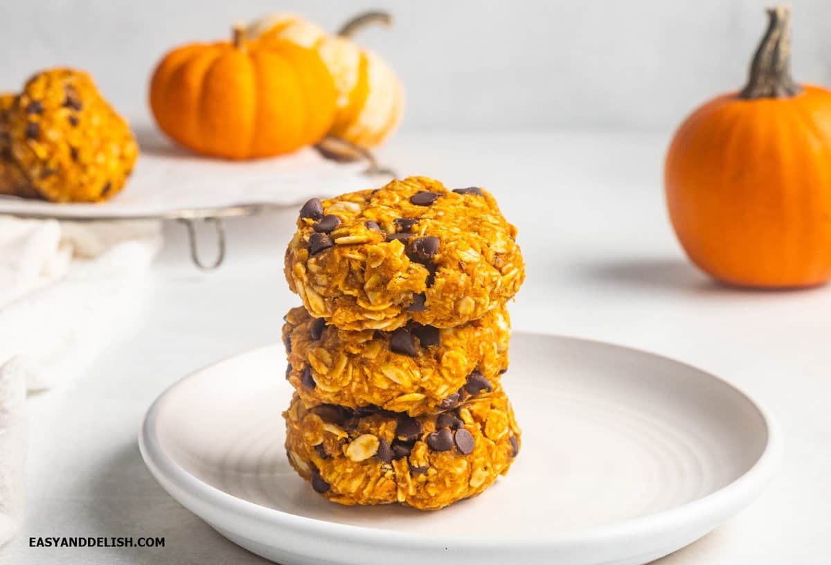 No Bake Fall Cookies - CrystalandComp.com