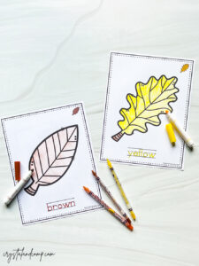 Leaf Coloring Pages - CrystalandComp.com